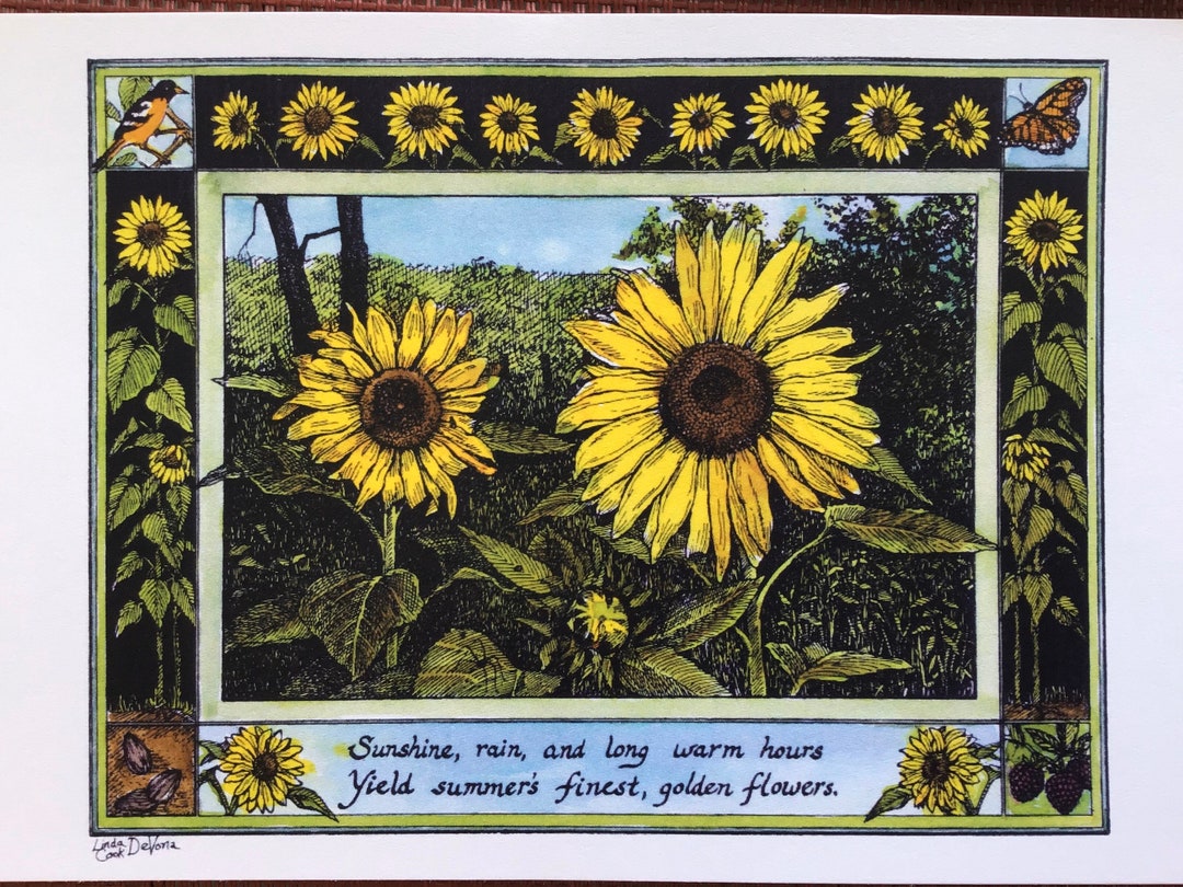 Sunflowers-set of 4 Colored Postcard Miniprints on Heavy Cardstock ...