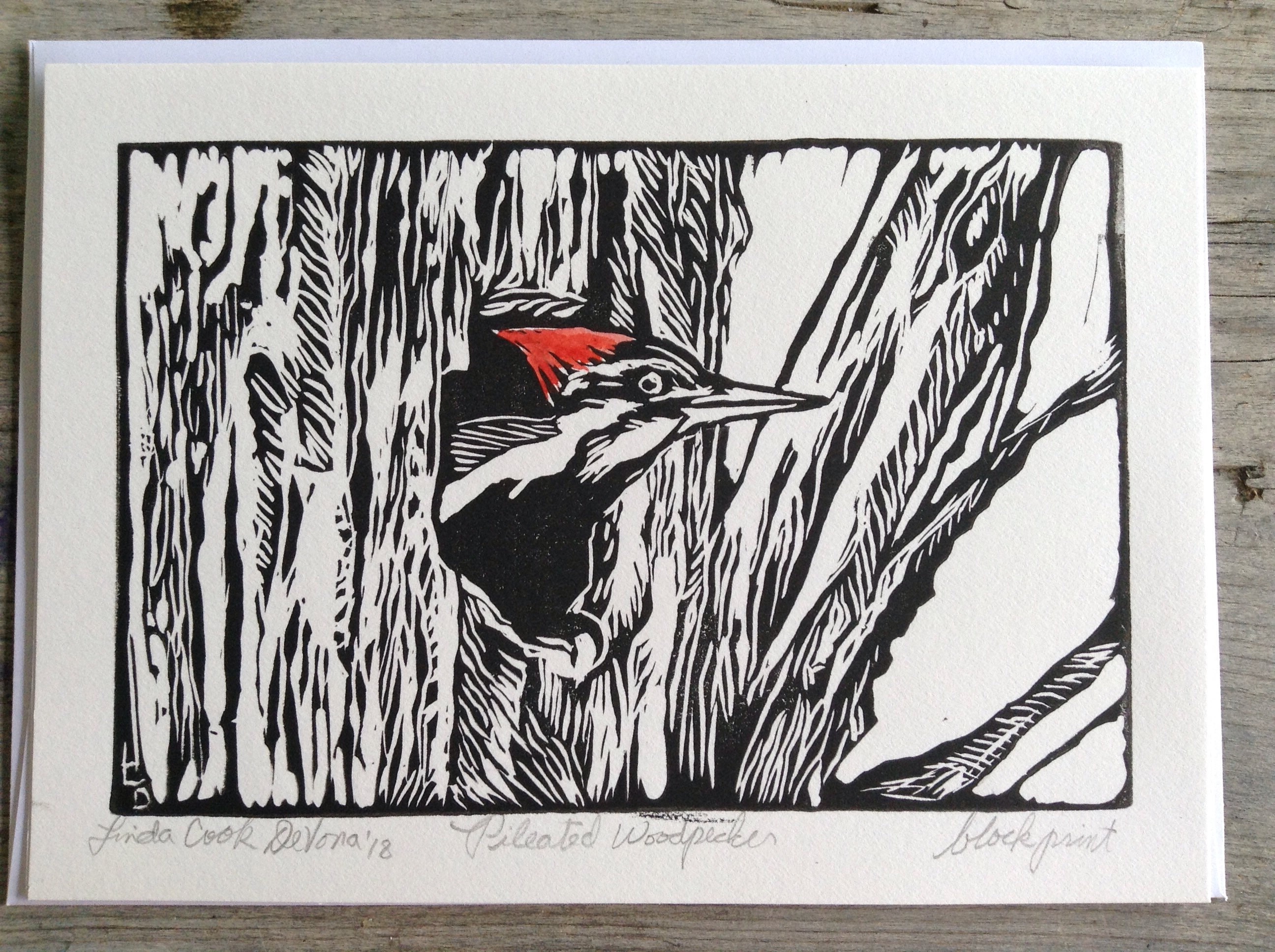 Pileated Woodpecker Original, Blockprinted 5"x7" Notecard - Drawn ...