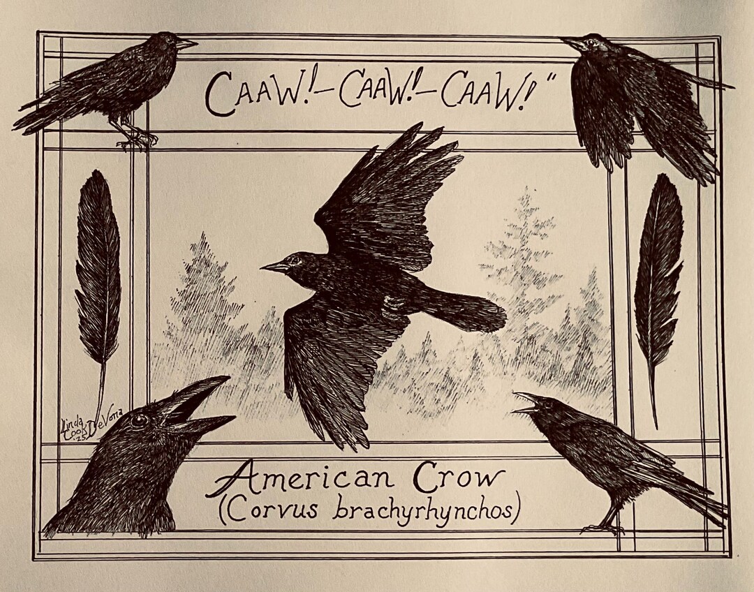 American Crow Art Notecards: 6-pack of Blank Ivory Cards With Envelopes ...