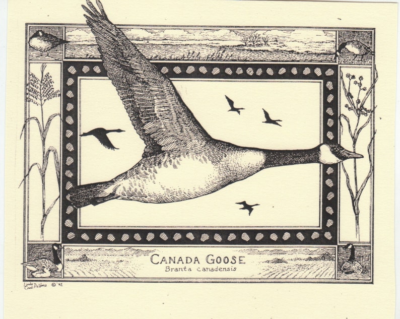 Canada Goose This 6-pack of Blank Ivory Cards With Matching - Etsy