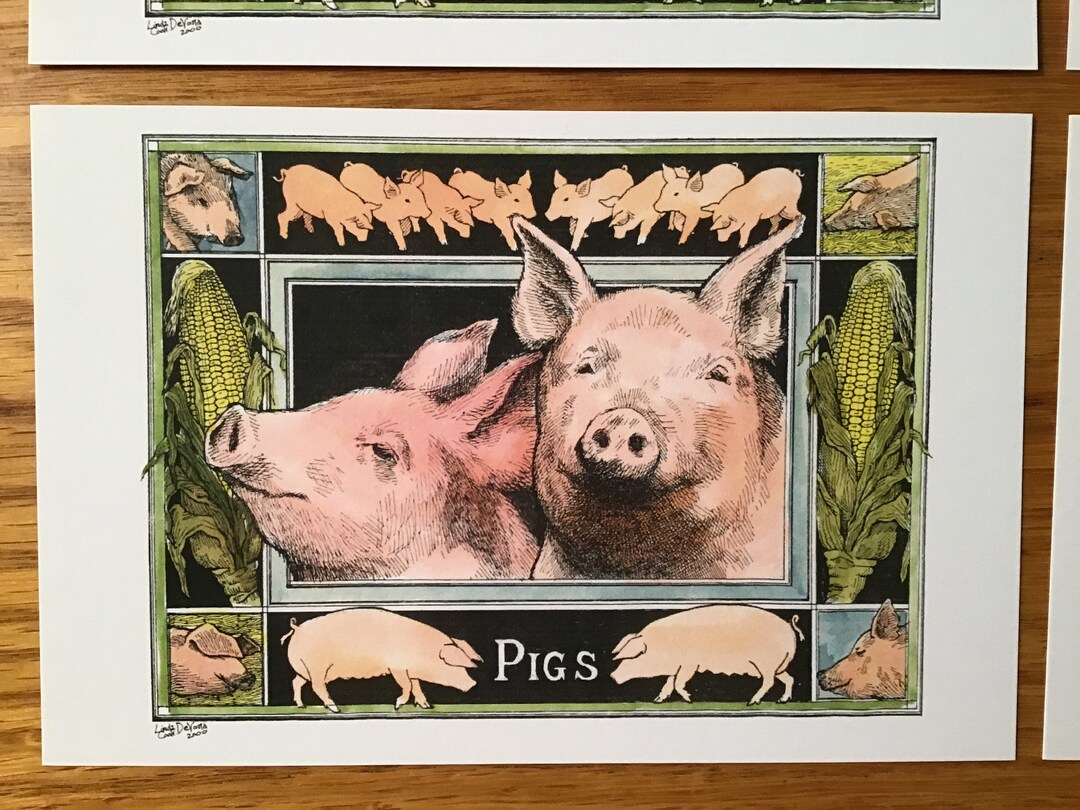 Pigs - Set of 4 Color Postcards on Heavy White Cardstock Illustrated by ...