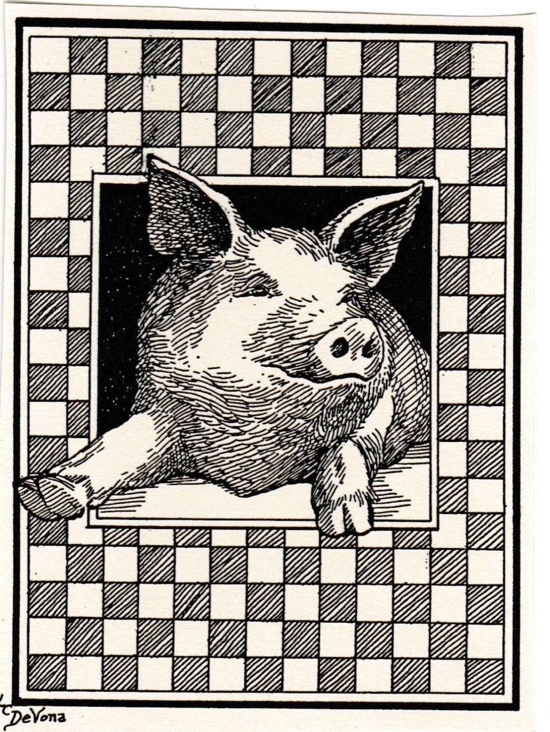 Checkerboard Pig: This 6-pack of Blank, Ivory Notecards With Envelopes ...