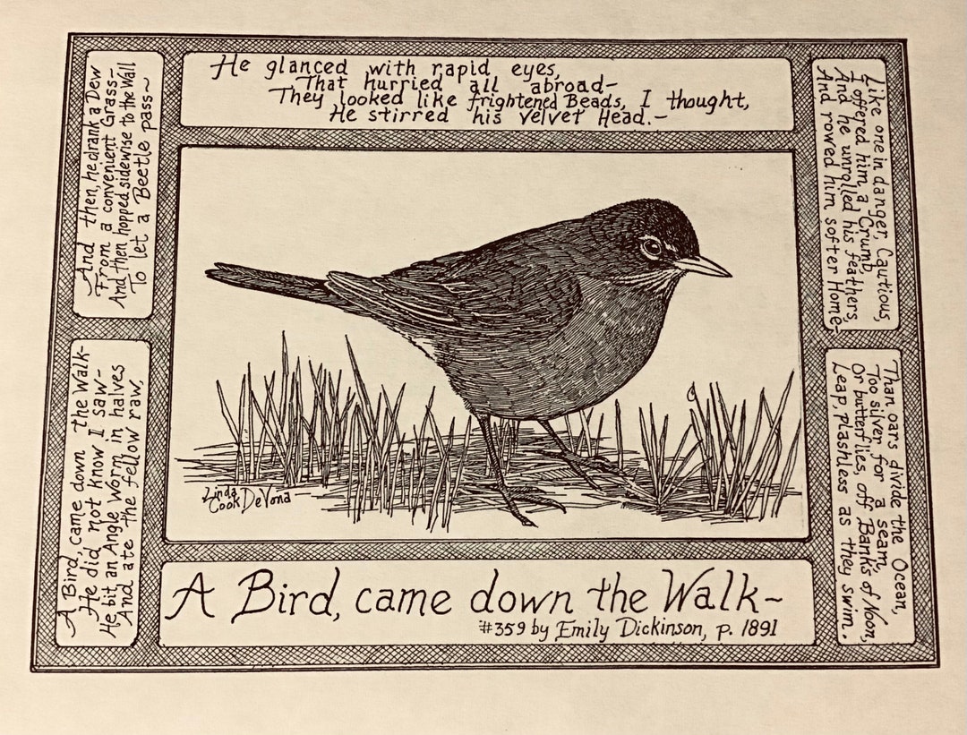 Emily Dickinson’s A Bird Came Down the Walk: 6-pack of Ivory, Poetry ...