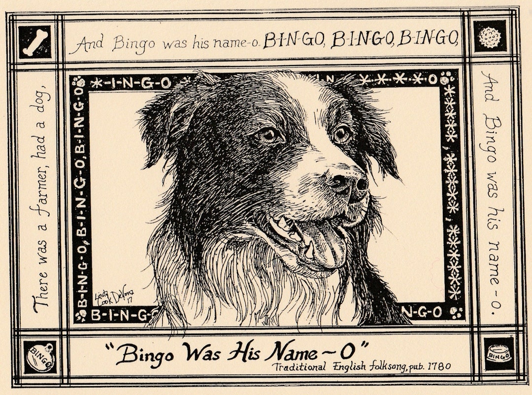 B-I-N-G-O Was His Name-o:6pack of Blank, Ivory Cards With Envelopes ...