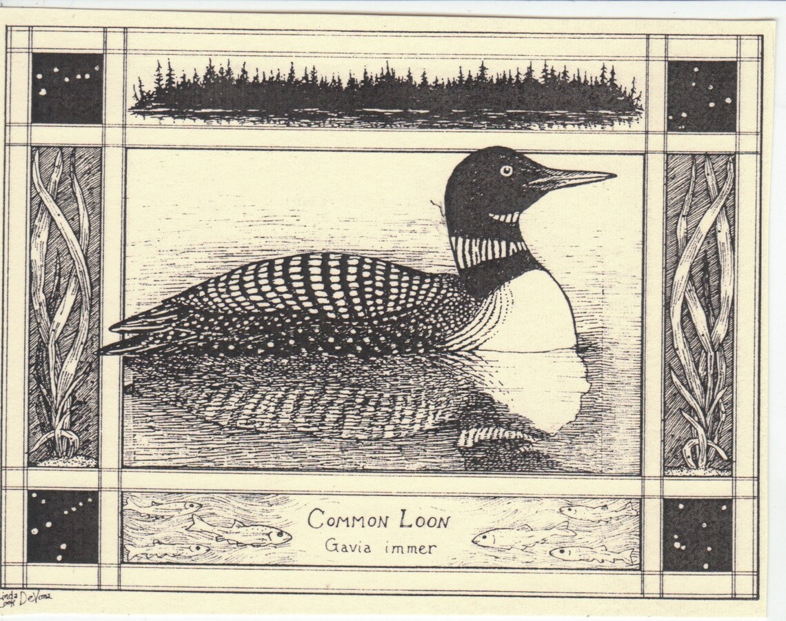 Common Loon-this 6-pack of Blank Ivory Cards W/envelopes - Etsy Sweden