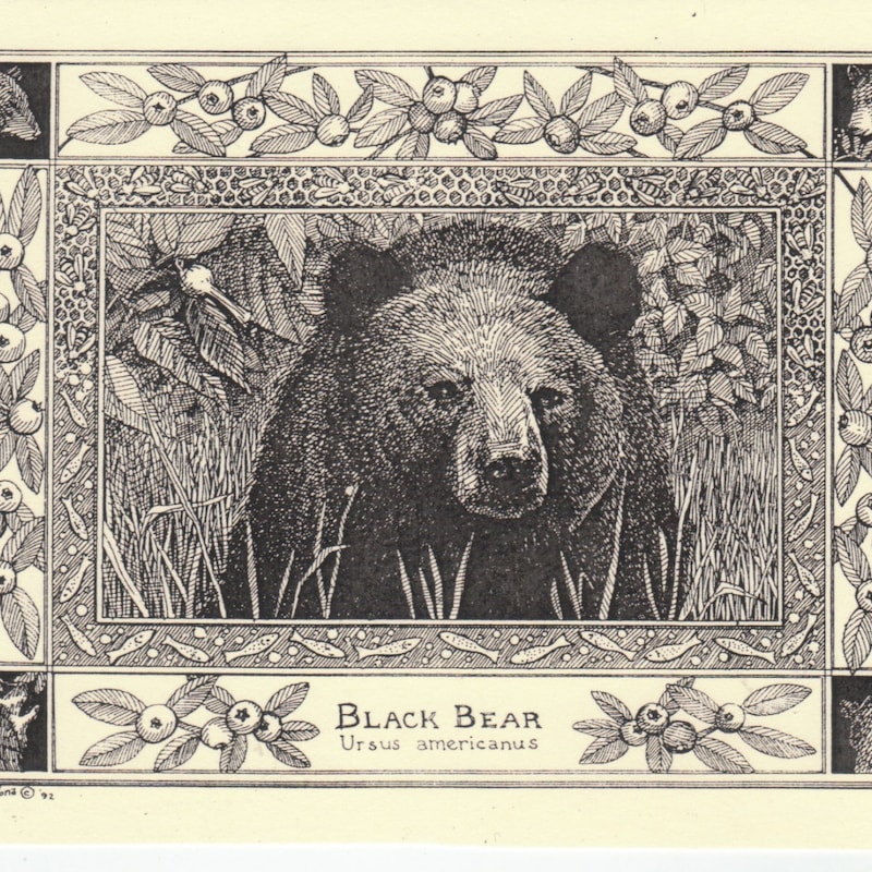 Black Bear Card - Etsy