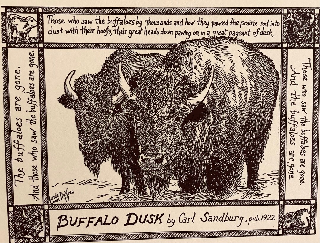 Buffalo Dusk Poetry by Carl Sandburg: 6-pack of Blank, Ivory Notecards ...