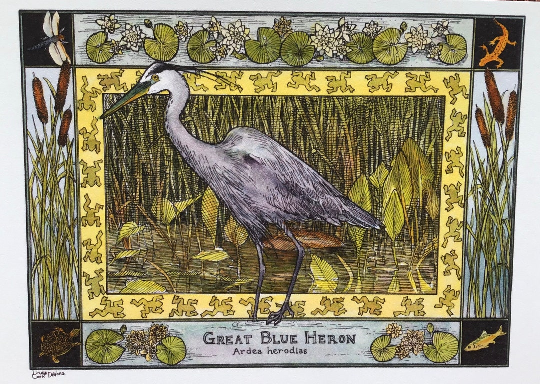 Great Blue Heron (ardea Herodias) Set of 4 Color Postcards on 80 ...