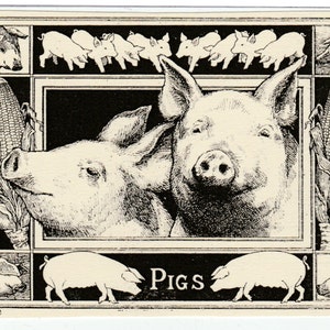 Pigs-this 6-pack of Blank, Ivory Cards With Matching Envelopes Features ...