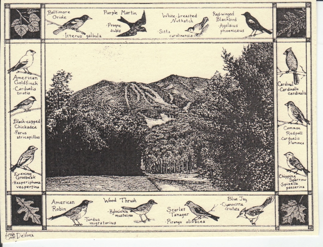 Whiteface Mountain W Songbird Border-this 6-pack of Blank, Ivory Cards ...