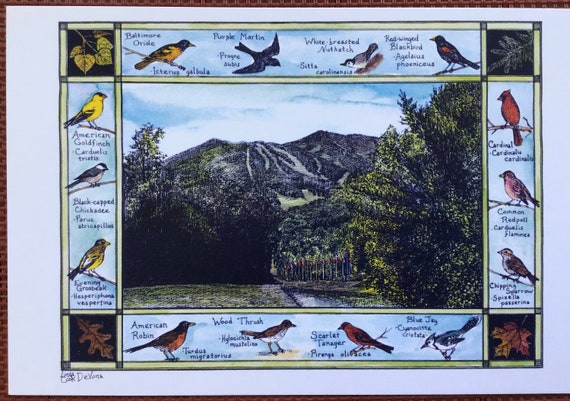 Whiteface Mountain With Songbird Border Set of 4 Colored | Etsy