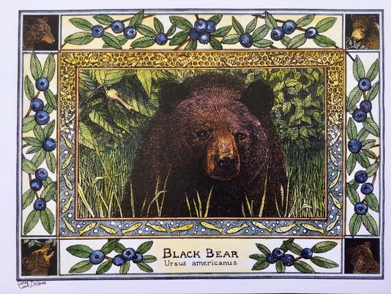 Black Bear ursus Americanus Set of 4 Color Postcards on 80 | Etsy