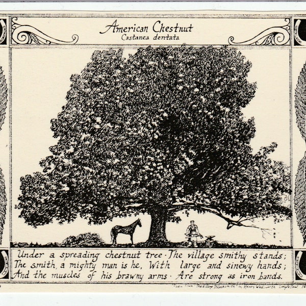 Chestnut Tree - Etsy
