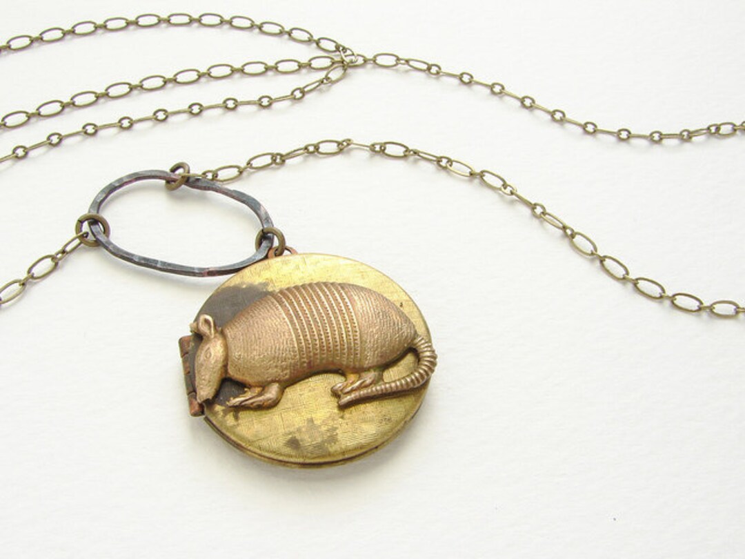 Armadillo Locket Necklace, Animal Necklace, Vintage Locket Necklace ...