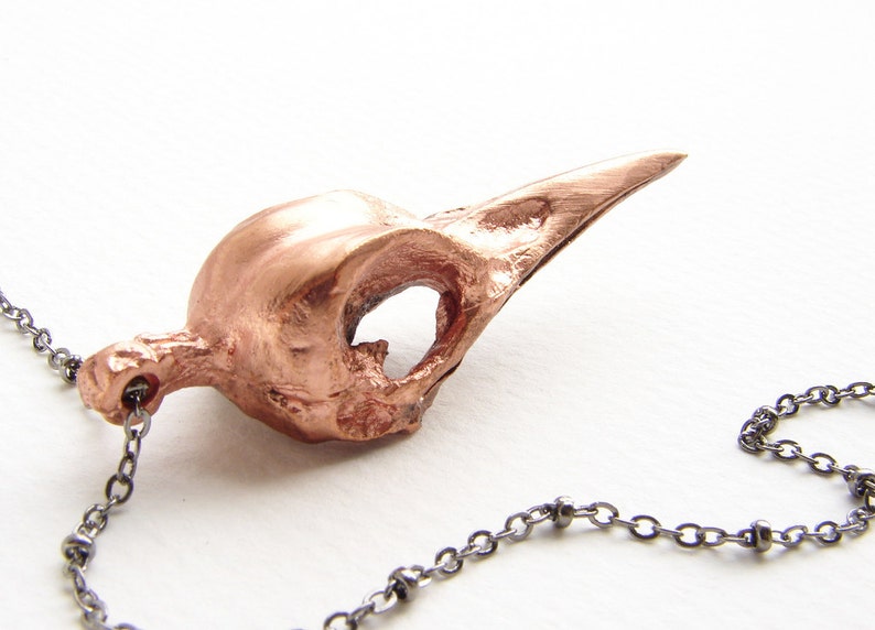 Statement Necklace Bird Skull Necklace Realistic Raven Skull | Etsy