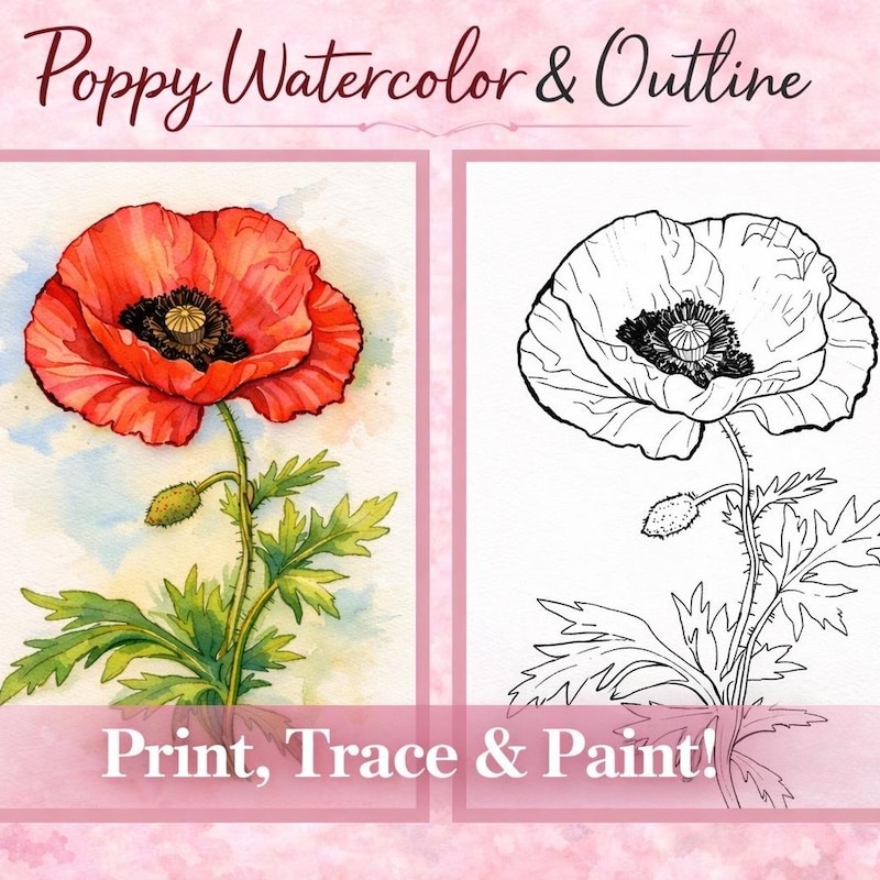 Flowers to Trace - Etsy
