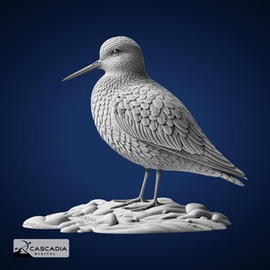 Sandpiper - Laser PNG, Depth Map, and SVG for Glowforge and Lightburn ...