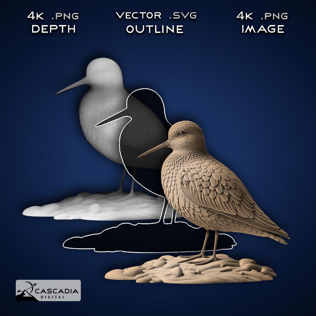 Sandpiper - Laser Engrave 4K PNG Image, Depth Map, Exact-outline Cut ...