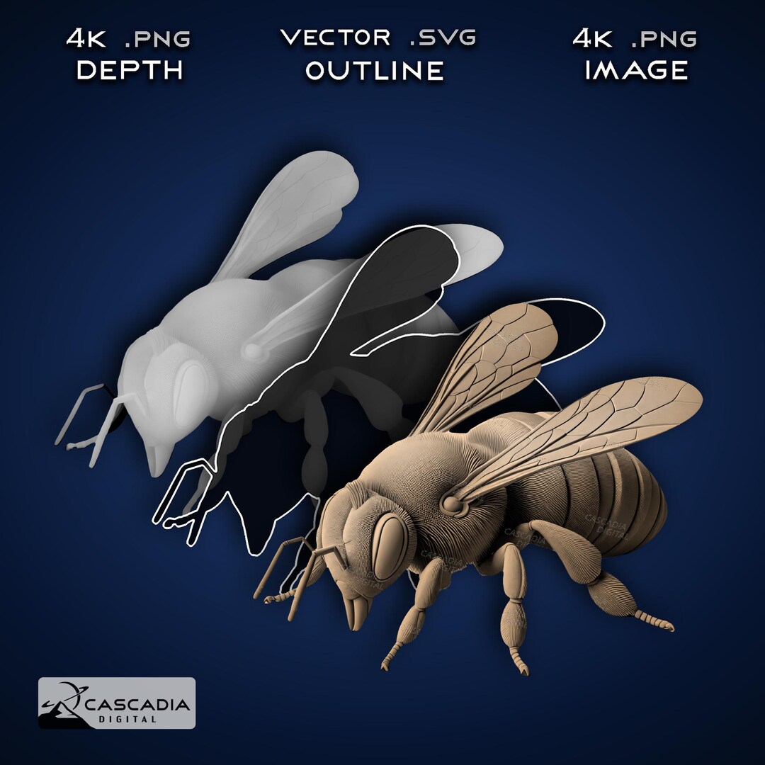 Bee - Laser Engrave 4K PNG Image, Depth Map, Exact-outline Cut File, 3D ...