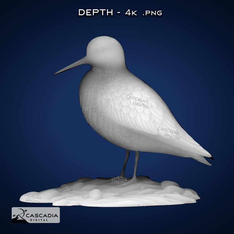 Sandpiper - Laser Engrave 4K PNG Image, Depth Map, Exact-outline Cut ...