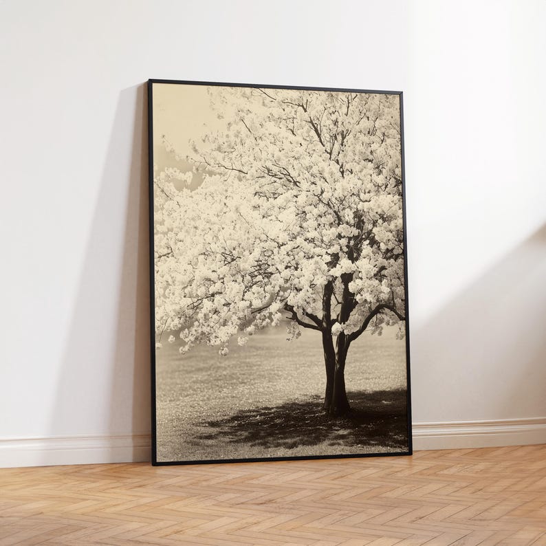 Black & White Cherry Blossom Tree Poster, Printable Wall Art Digital ...
