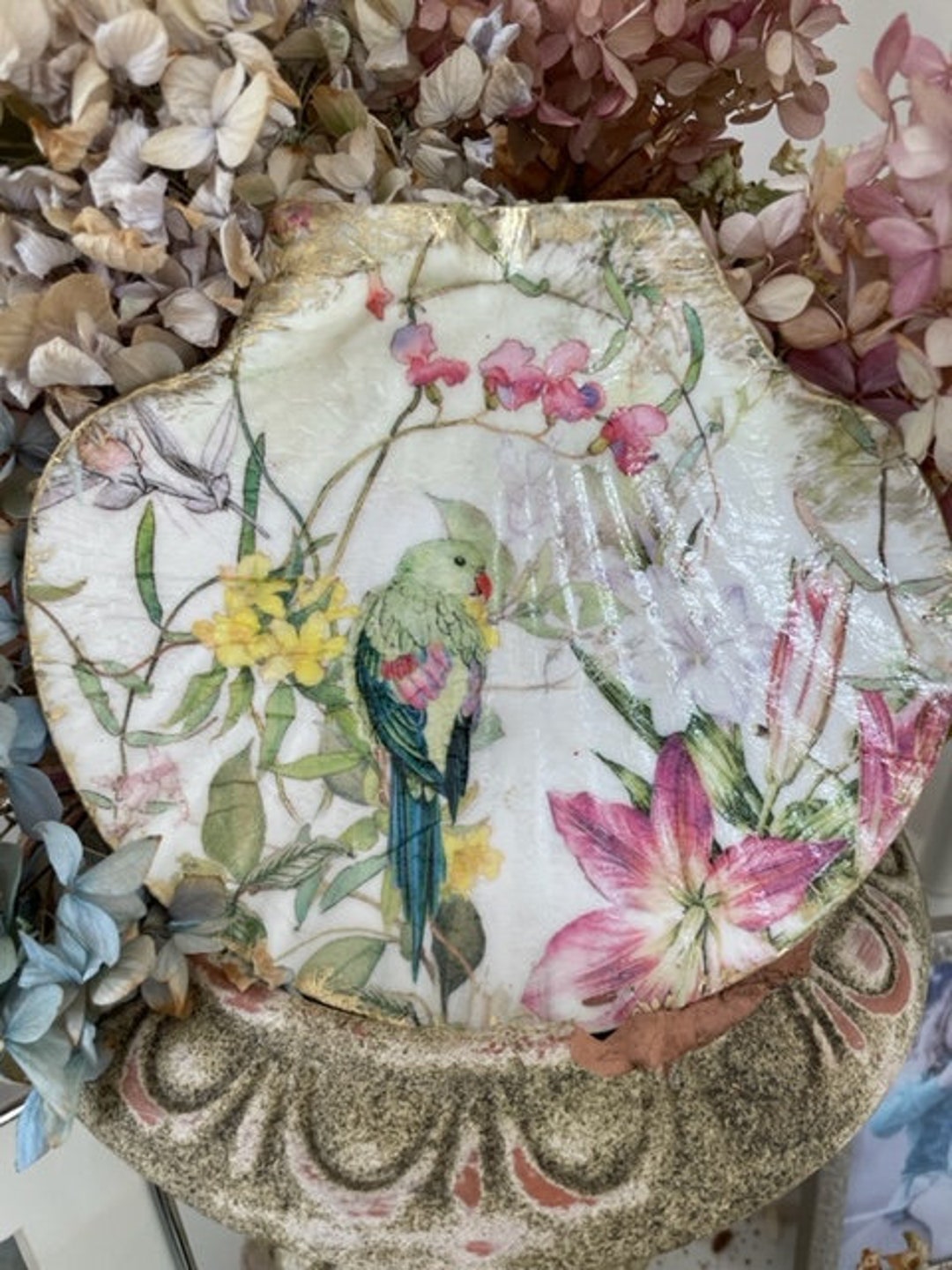 Tropical Parrot Shell - Etsy