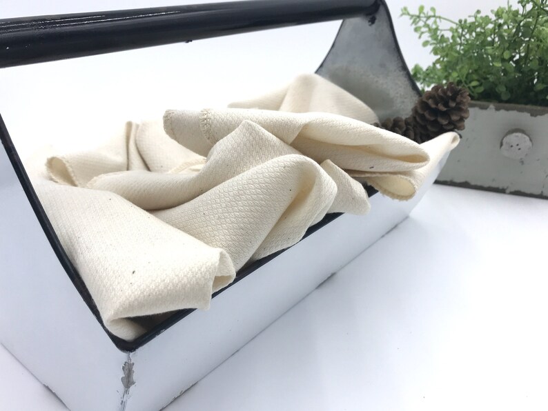 Organic Cotton Reusable Napkins: Unbleached Birdseye Cloth, Set of 12 ...