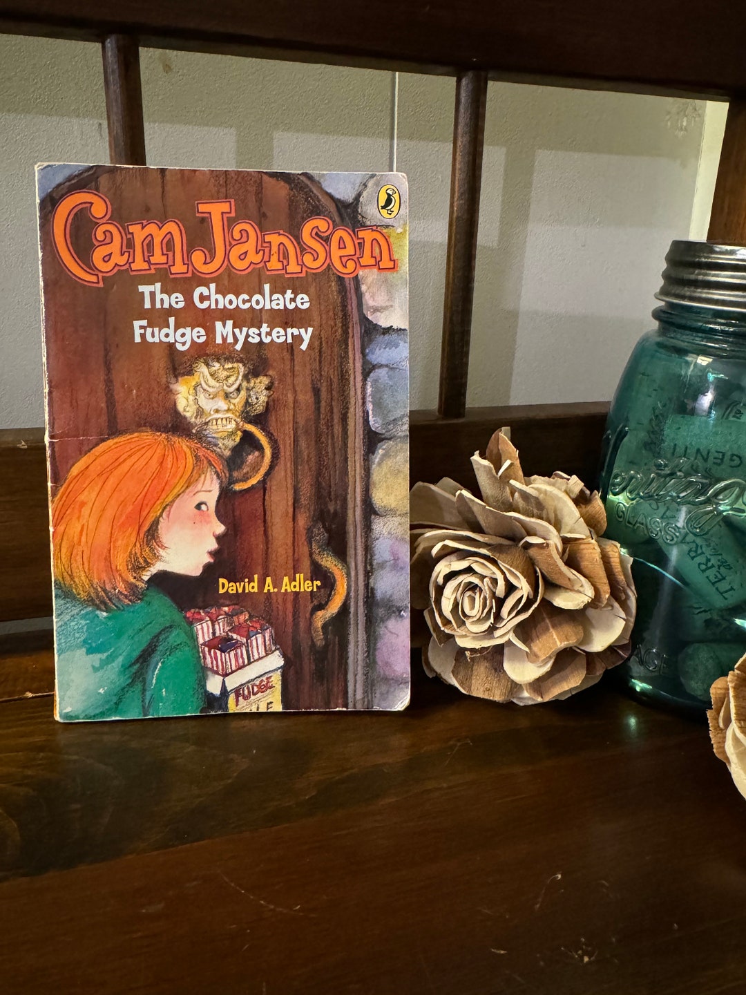Cam Jansen and the Chocolate Fudge Mystery, by David A Adler - Etsy