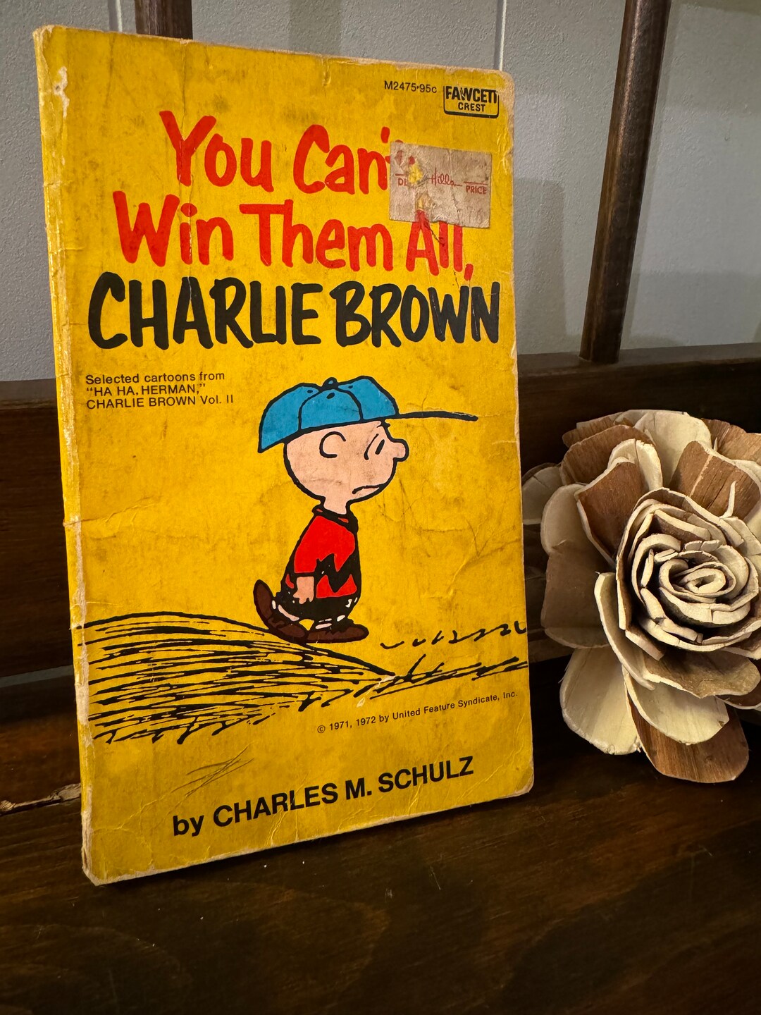 You Can’t Win Them All, Charlie Brown - Etsy