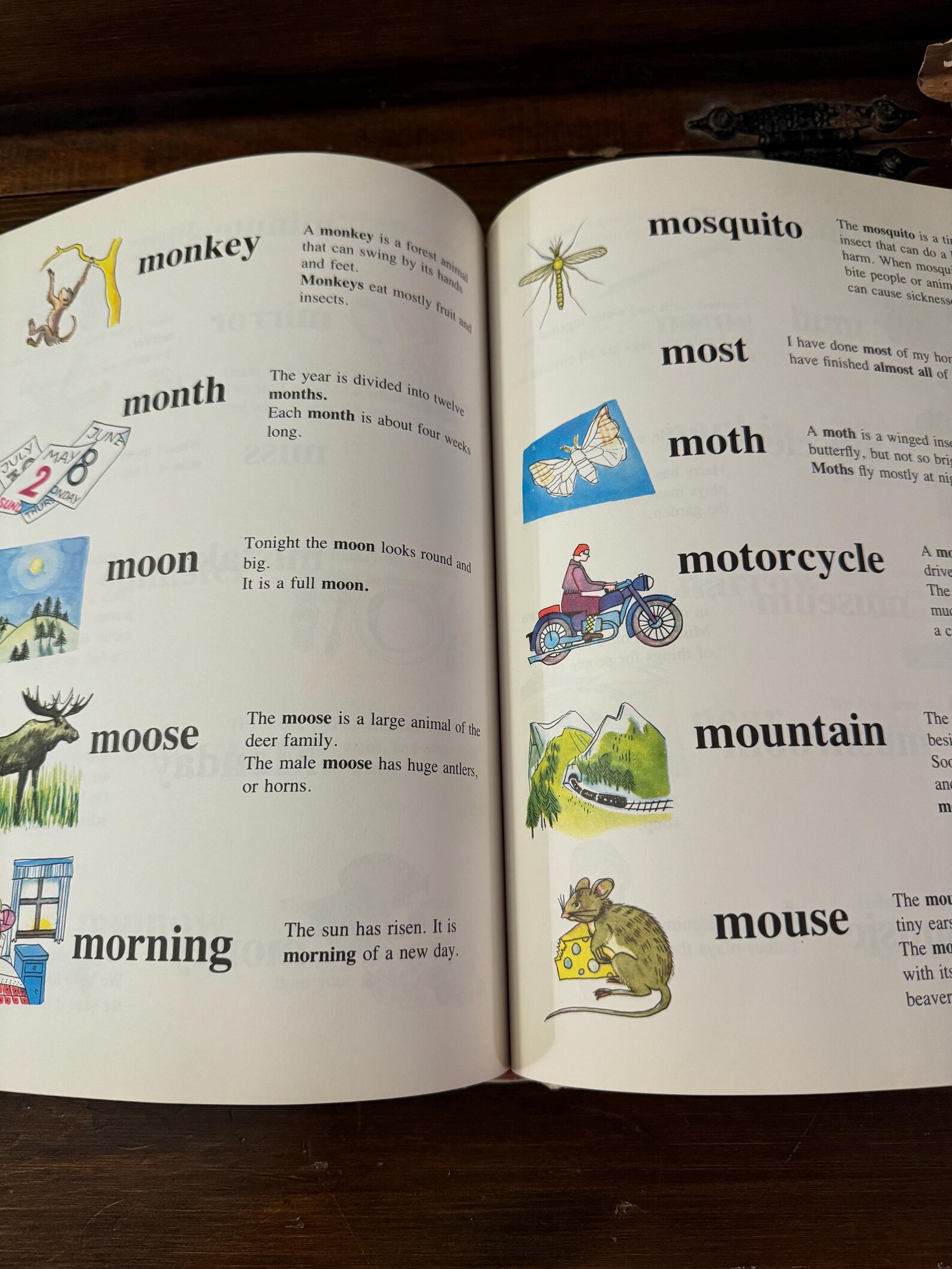 The New Lexicon-webster Dictionary for Children - Etsy