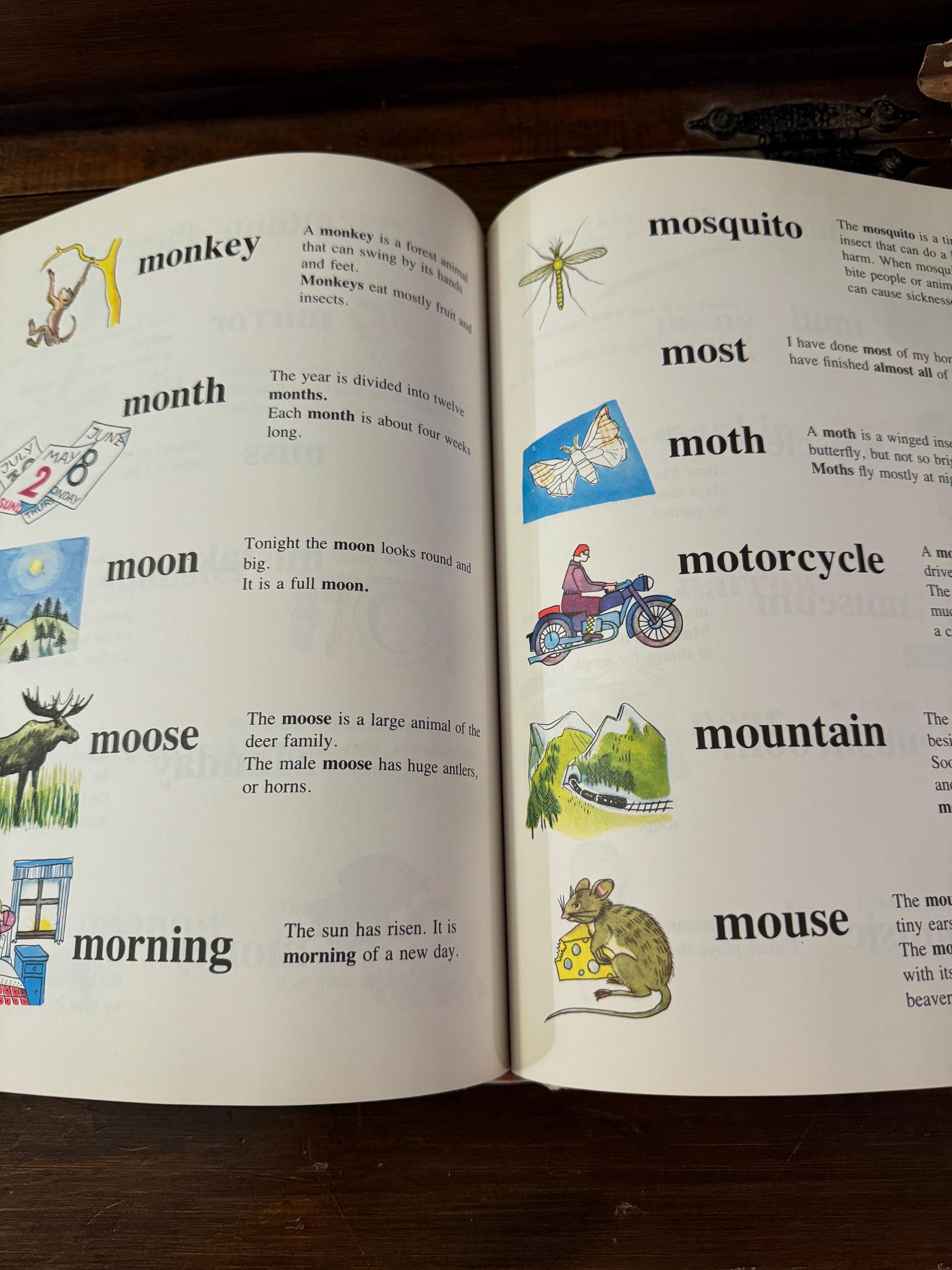 The New Lexicon-webster Dictionary for Children - Etsy