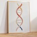 Minimalist DNA Art Print – Abstract Double Helix Painting – Modern ...