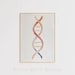 Minimalist DNA Art Print – Abstract Double Helix Painting – Modern ...