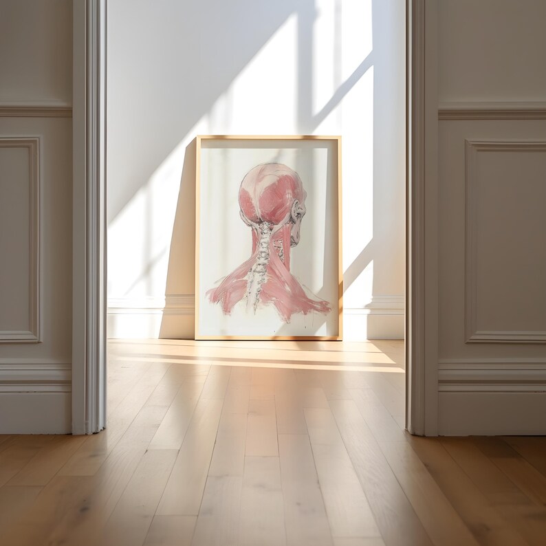 Anatomy Art Print – Human Muscles Illustration – Modern Medical Wall ...