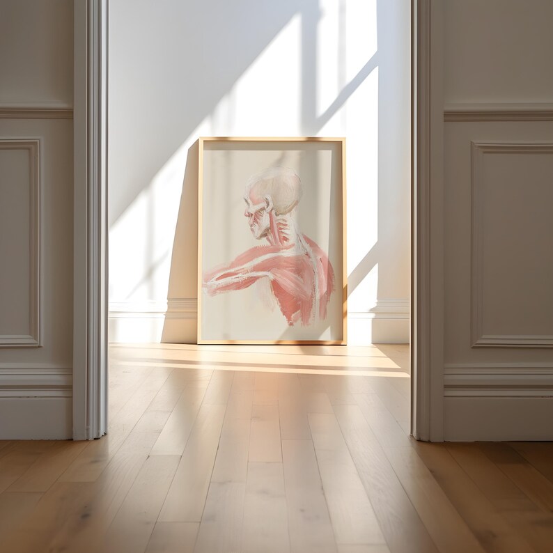 Anatomy Wall Art – Human Muscle System Painting – Medical Art Print ...