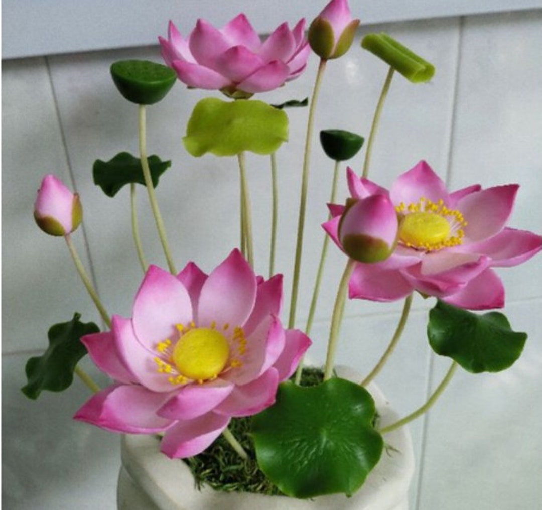 Mini Clay Lotus Flower Handmade,clay Pink Lily Flower,flower Decor ...