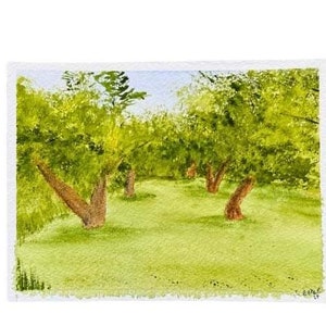 Watercolor Landscape With Orchard Painting Small 8x6 Painting Original ...