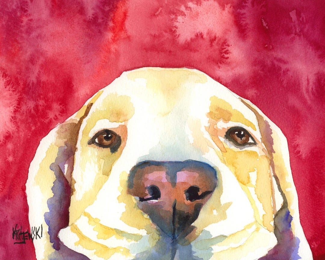 High Resolution Labrador Retriever Print of Original Fine Art ...