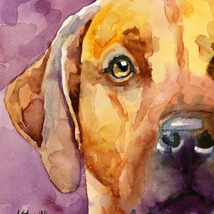 High Resolution Rhodesian Ridgeback Print of Original Fine Art ...