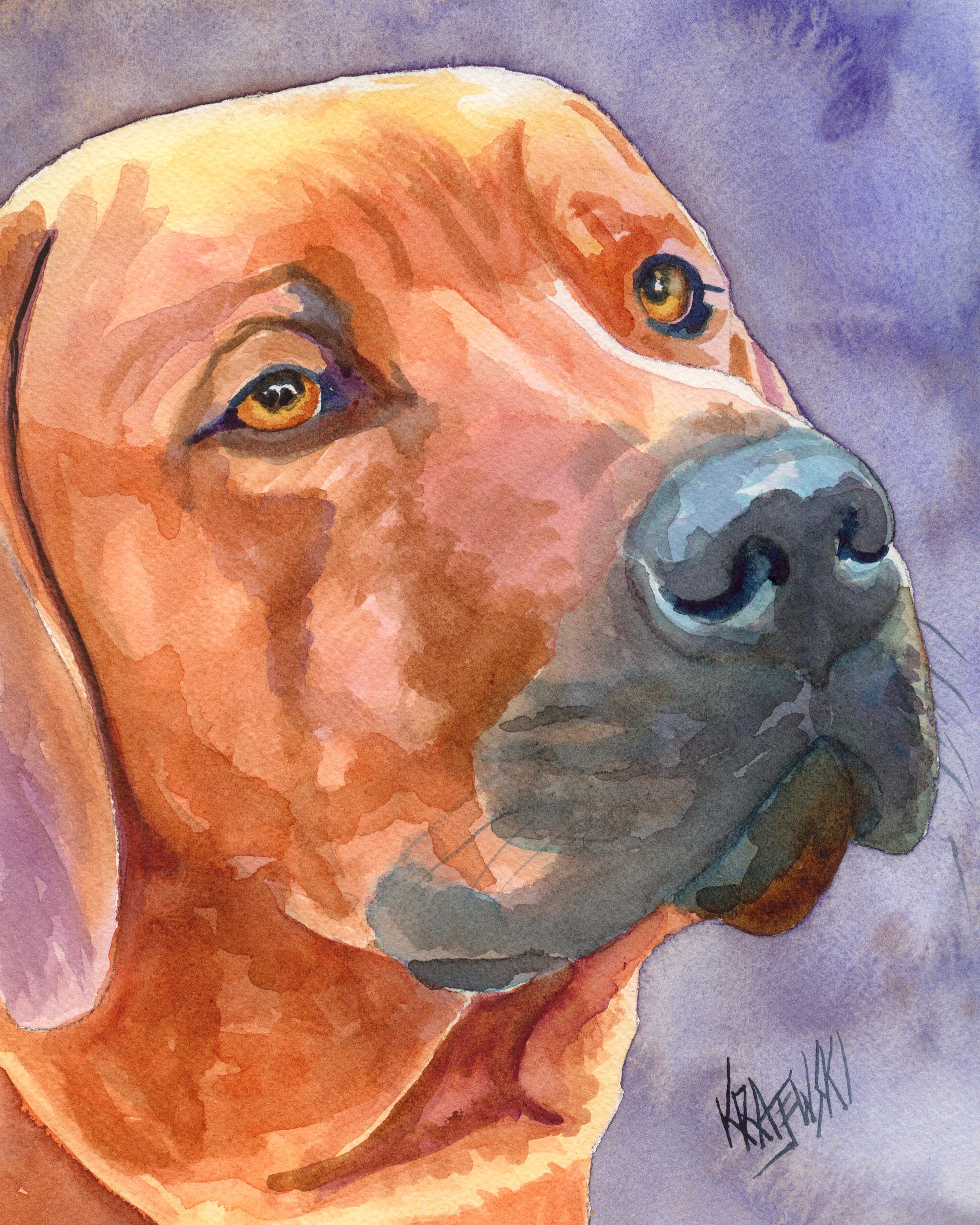 High Resolution Rhodesian Ridgeback Print of Original Fine Art ...