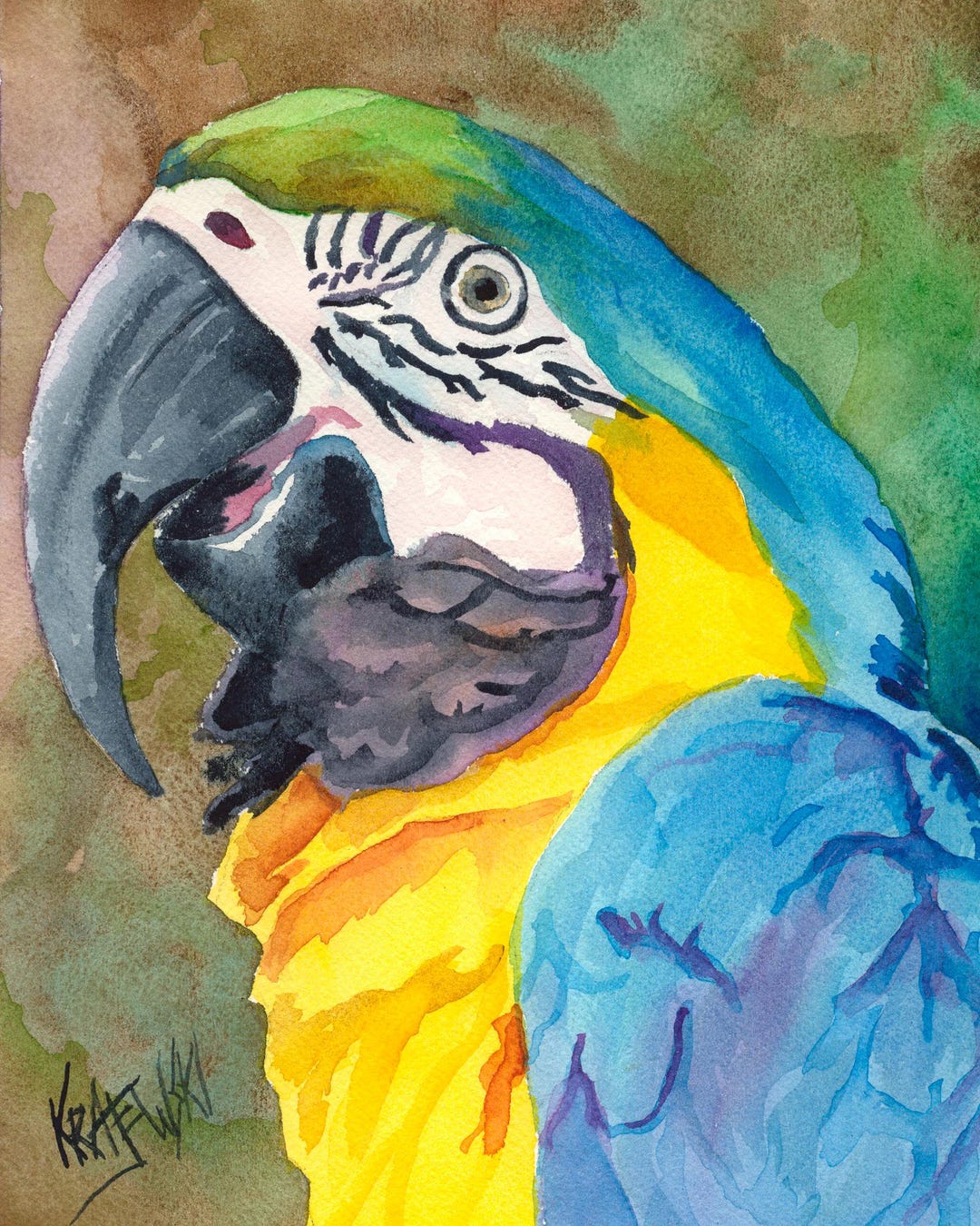 Parrot High Resolution Print of Original Fine Art Watercolor by Ron ...