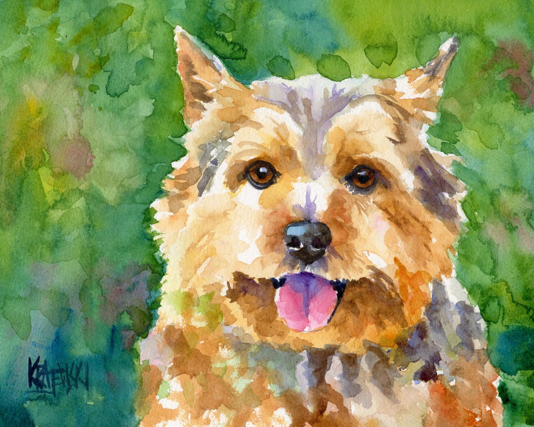 High Resolution Norwich Terrier Print of Original Fine Art Watercolor ...