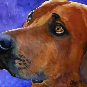 High Resolution Rhodesian Ridgeback Print of Original Fine Art ...