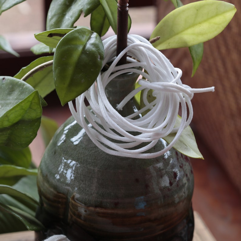 5 Pieces in One Pack Mask With Filter Pocket Masks 100% Cotton - Etsy