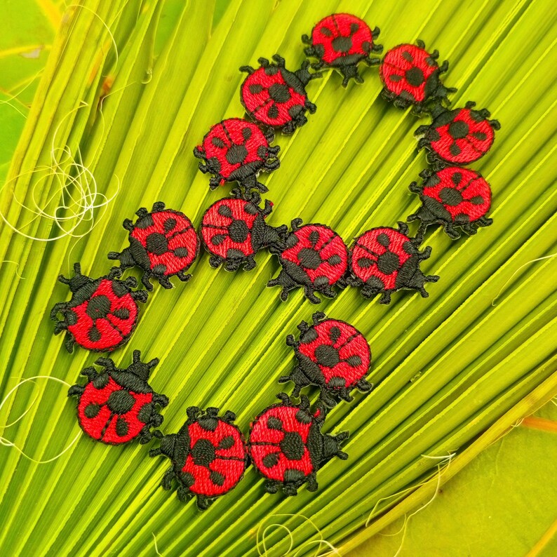 Cutest Black and Red Ladybug Iron-on Patch - Vintage Embroidered ...