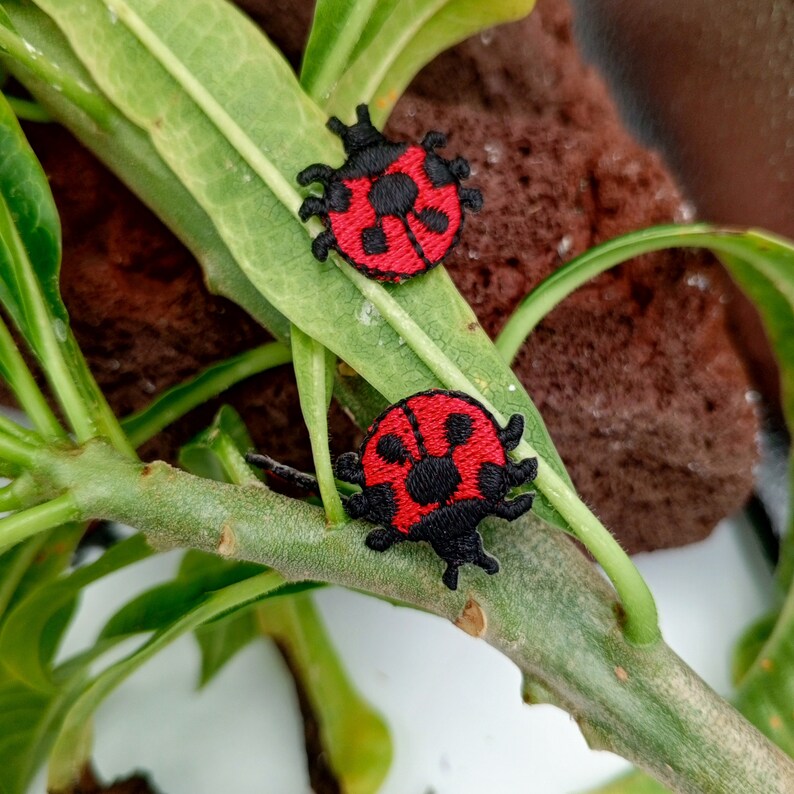 Cutest Black and Red Ladybug Iron-on Patch - Vintage Embroidered ...