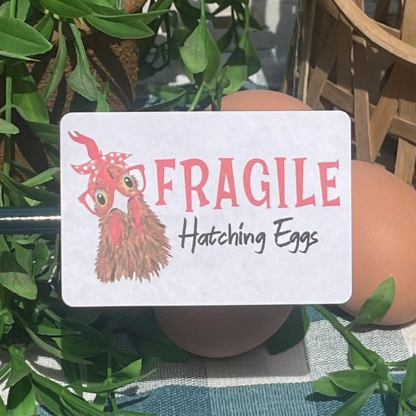 Hatching Eggs - Etsy