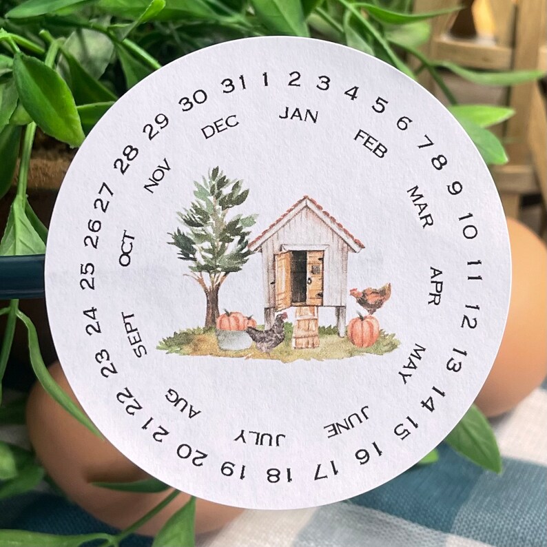 Egg Carton Date Labels Stickers 30 3 or 36 2.5 or - Etsy