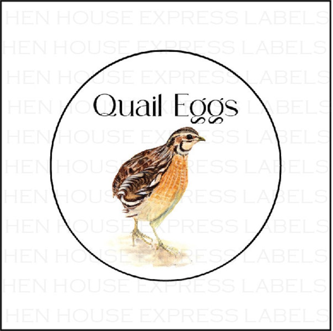 40 Quail Eggs Carton Labels Stickers - Etsy