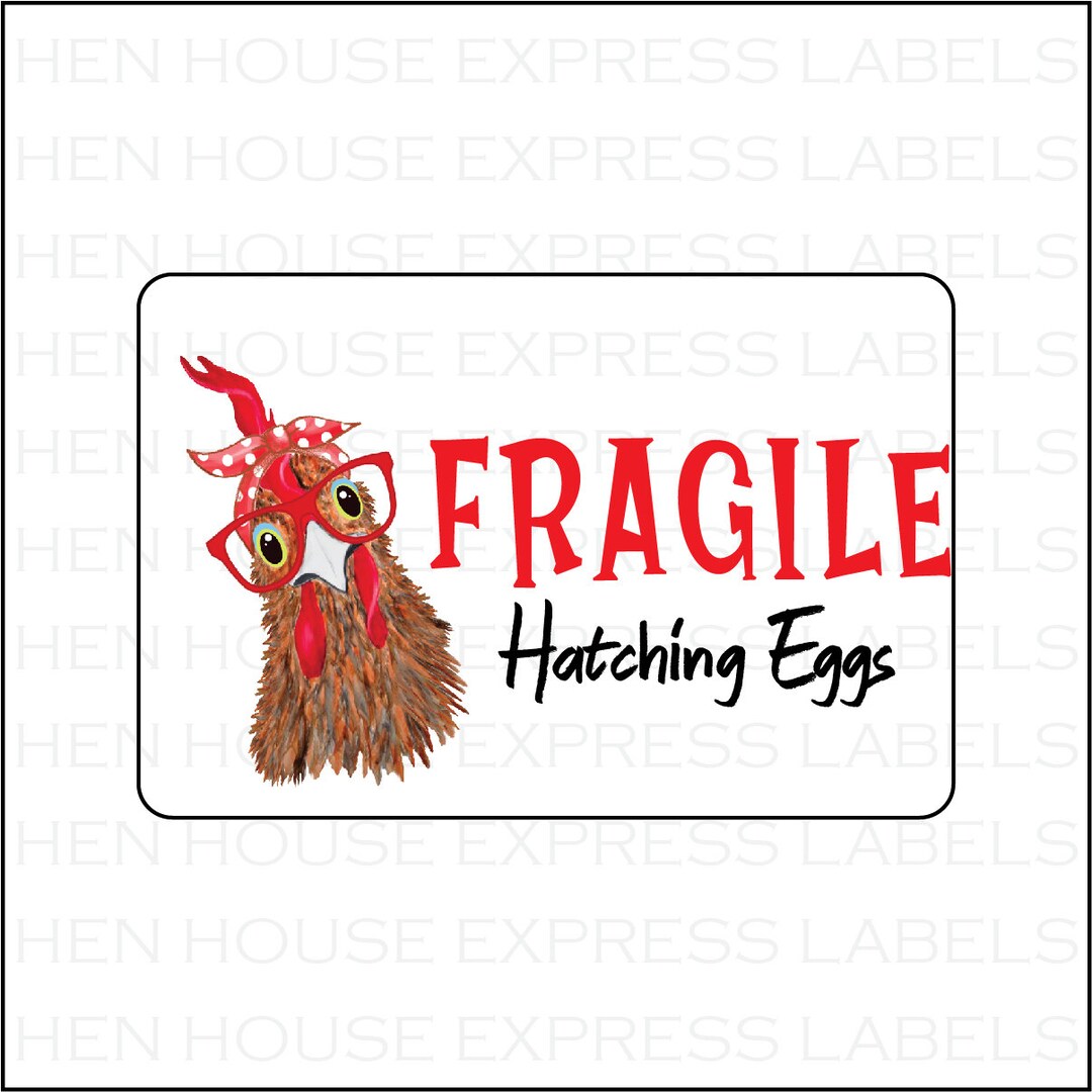 40 Fragile Hatching Eggs Labels Stickers - Etsy